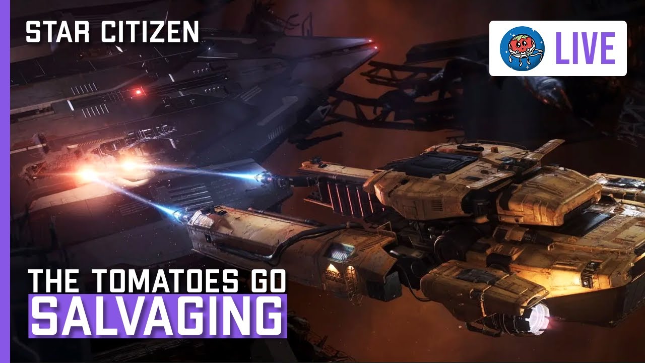 Star Citizen Gameplay | Mrs. Tomato Hates Salvaging! - space-tomato ...