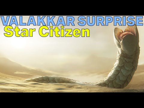 The Sand Worms are Here! - Valakkar Spotted in Star Citizen 4.1 - ptu ...